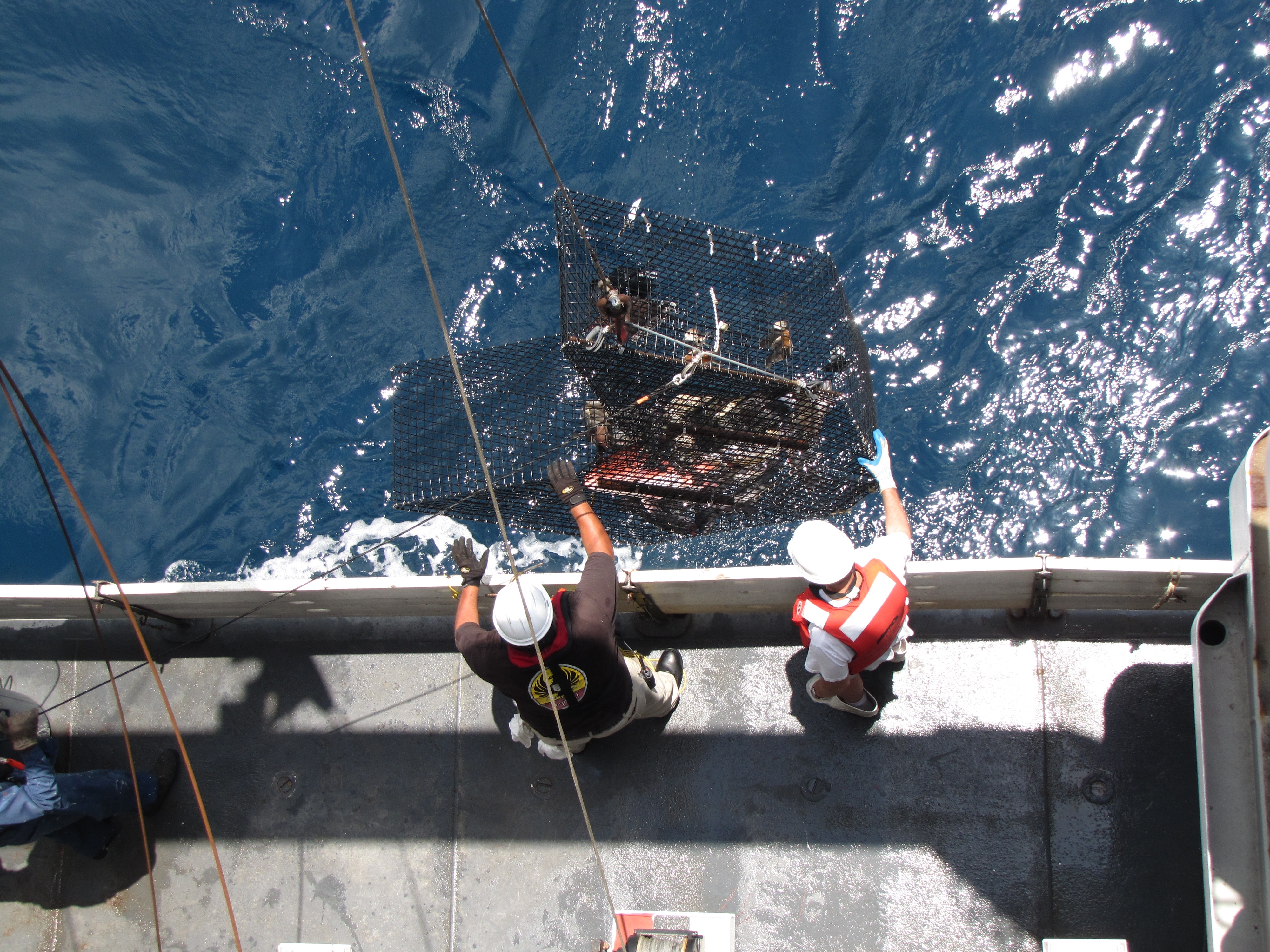 fish2885.jpg | National Oceanic and Atmospheric Administration