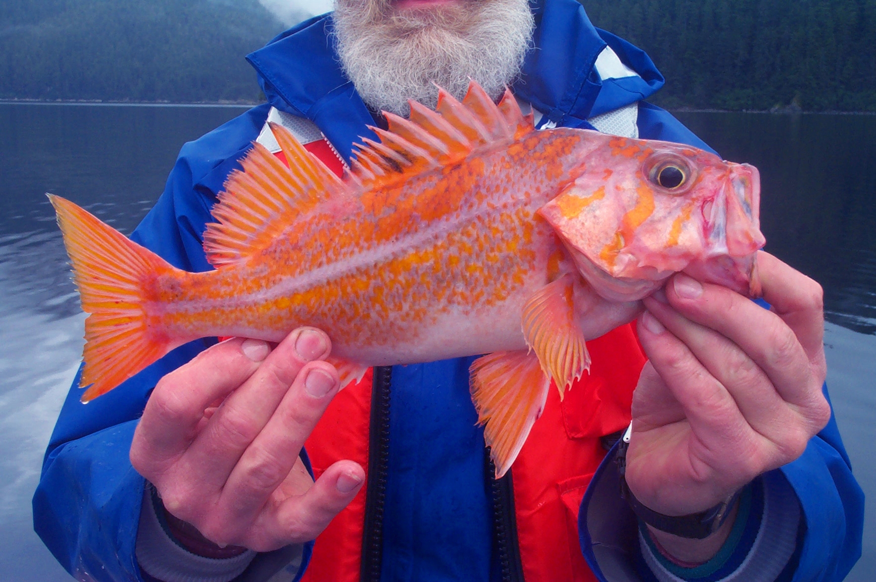 pl23_fish4047.jpg | National Oceanic and Atmospheric Administration