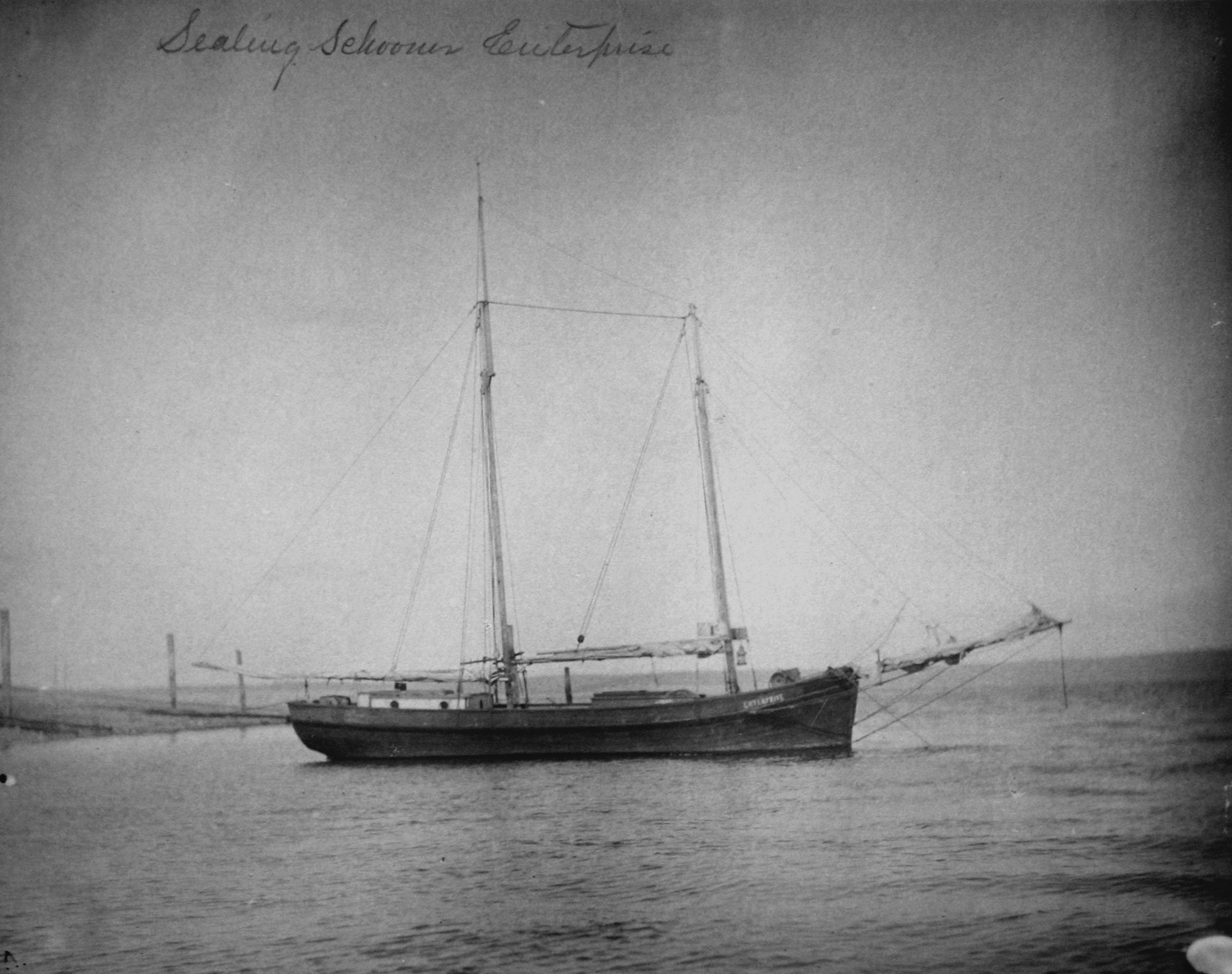 fish7492.jpg | National Oceanic and Atmospheric Administration