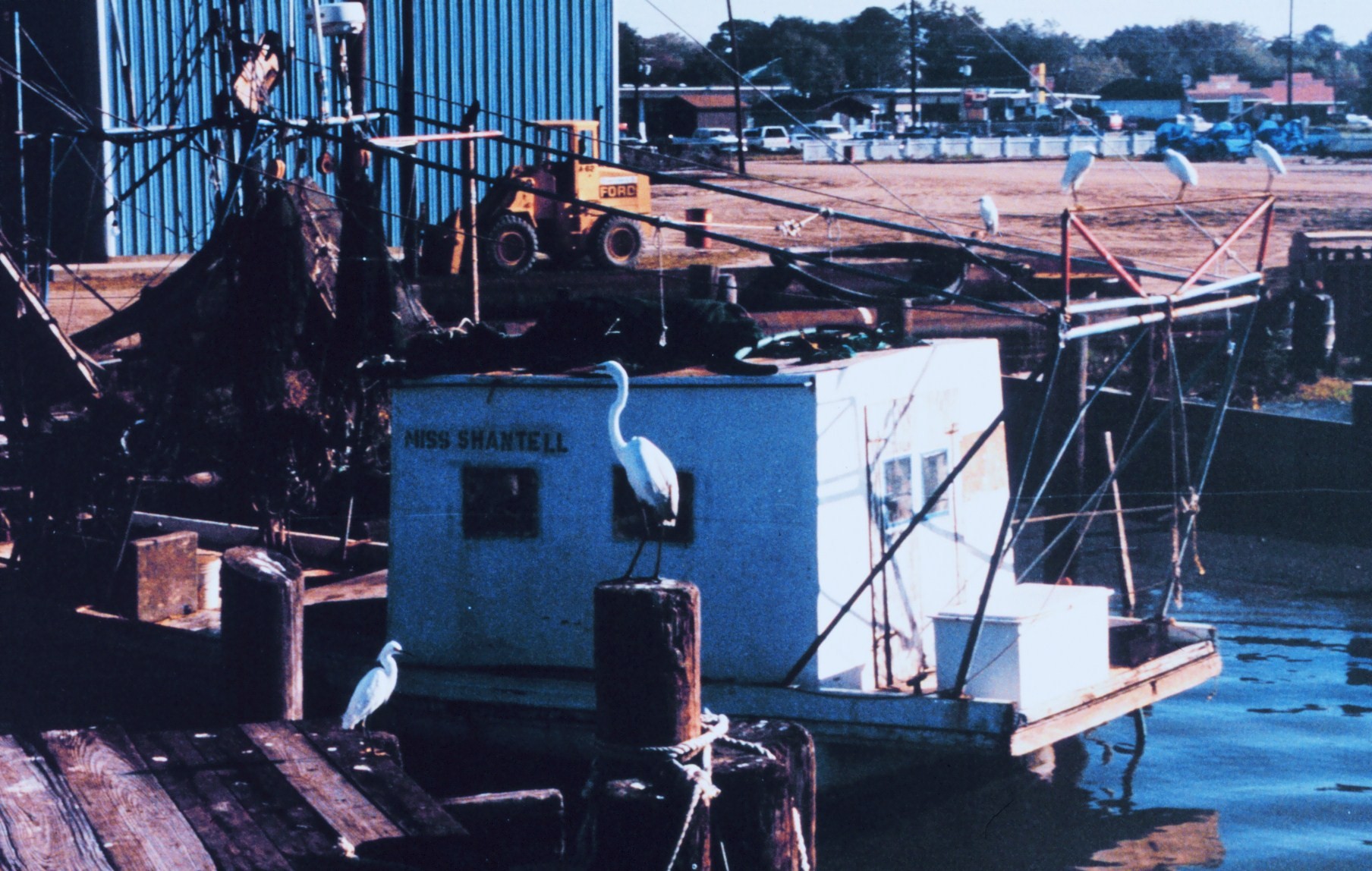 line0028.jpg | National Oceanic and Atmospheric Administration