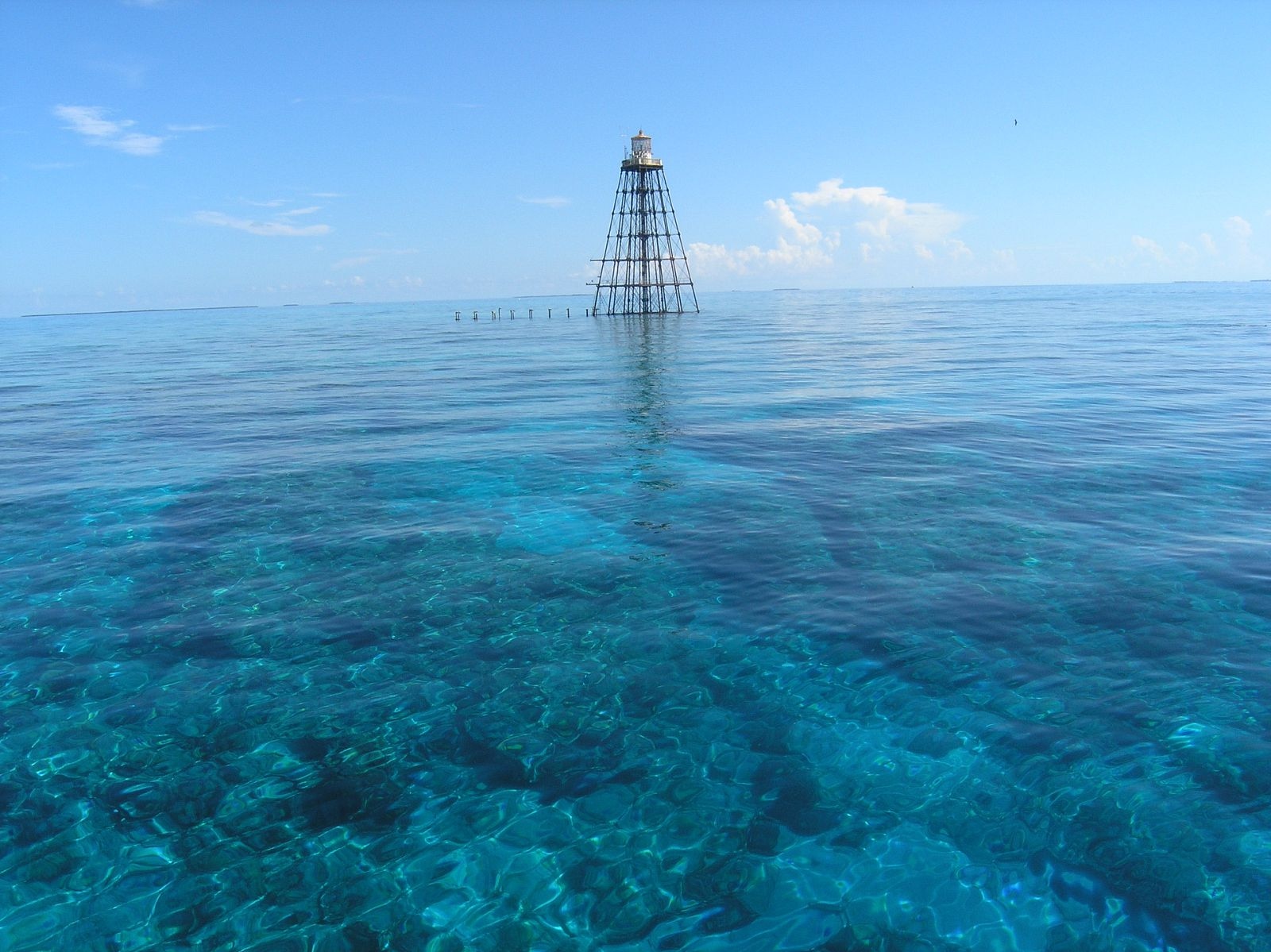 line5664.jpg | National Oceanic and Atmospheric Administration