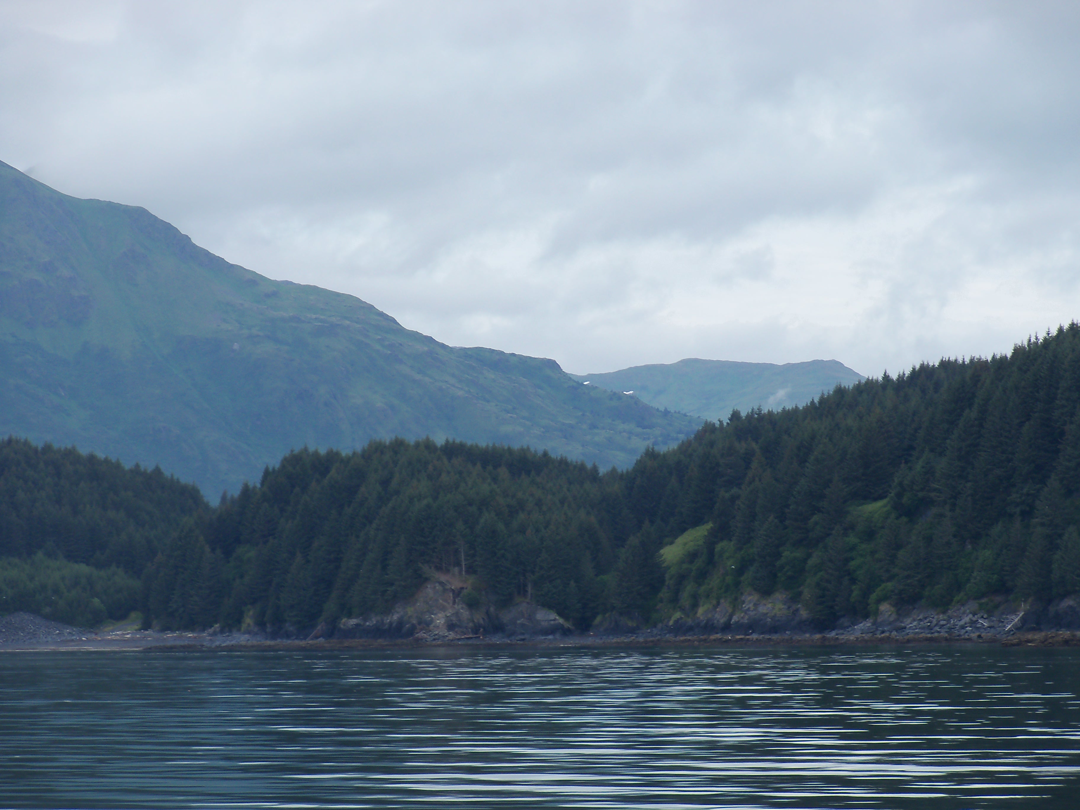 line5778.jpg | National Oceanic and Atmospheric Administration