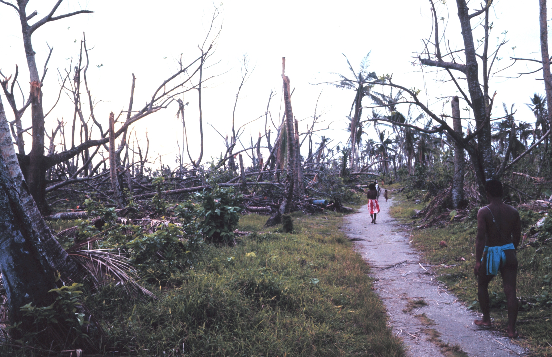 pl23_mvey0059.jpg | National Oceanic and Atmospheric Administration