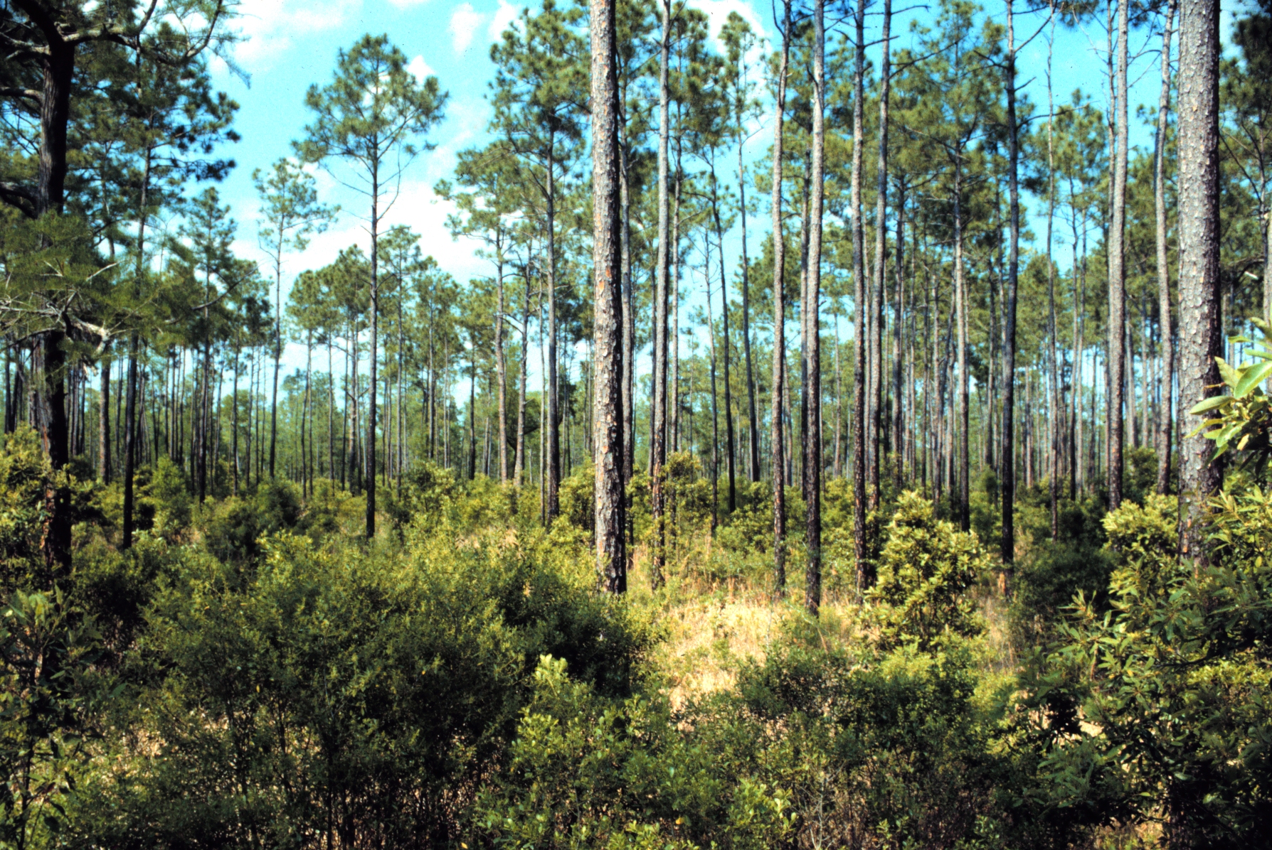 nerr0673.jpg | National Oceanic and Atmospheric Administration