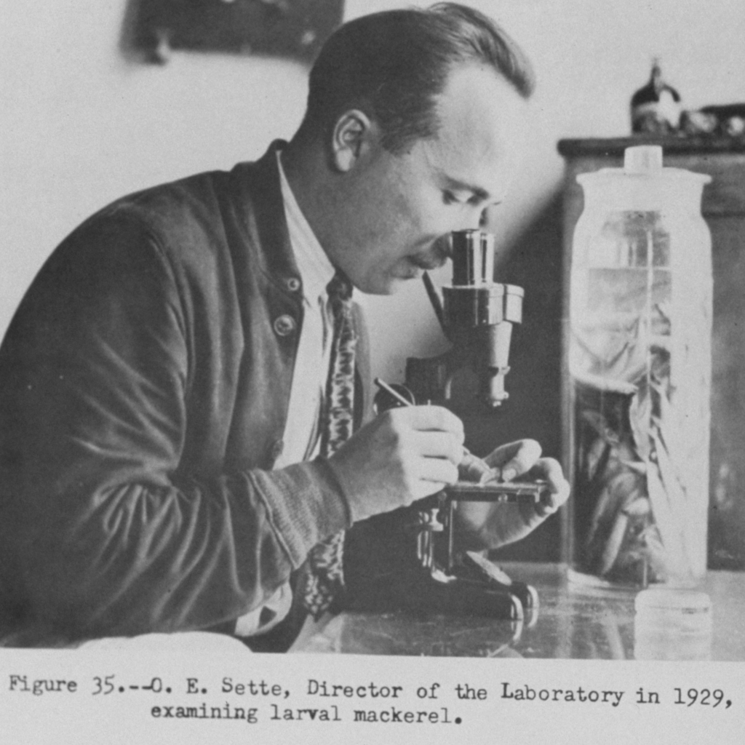 pl23_pers0112.jpg | National Oceanic and Atmospheric Administration