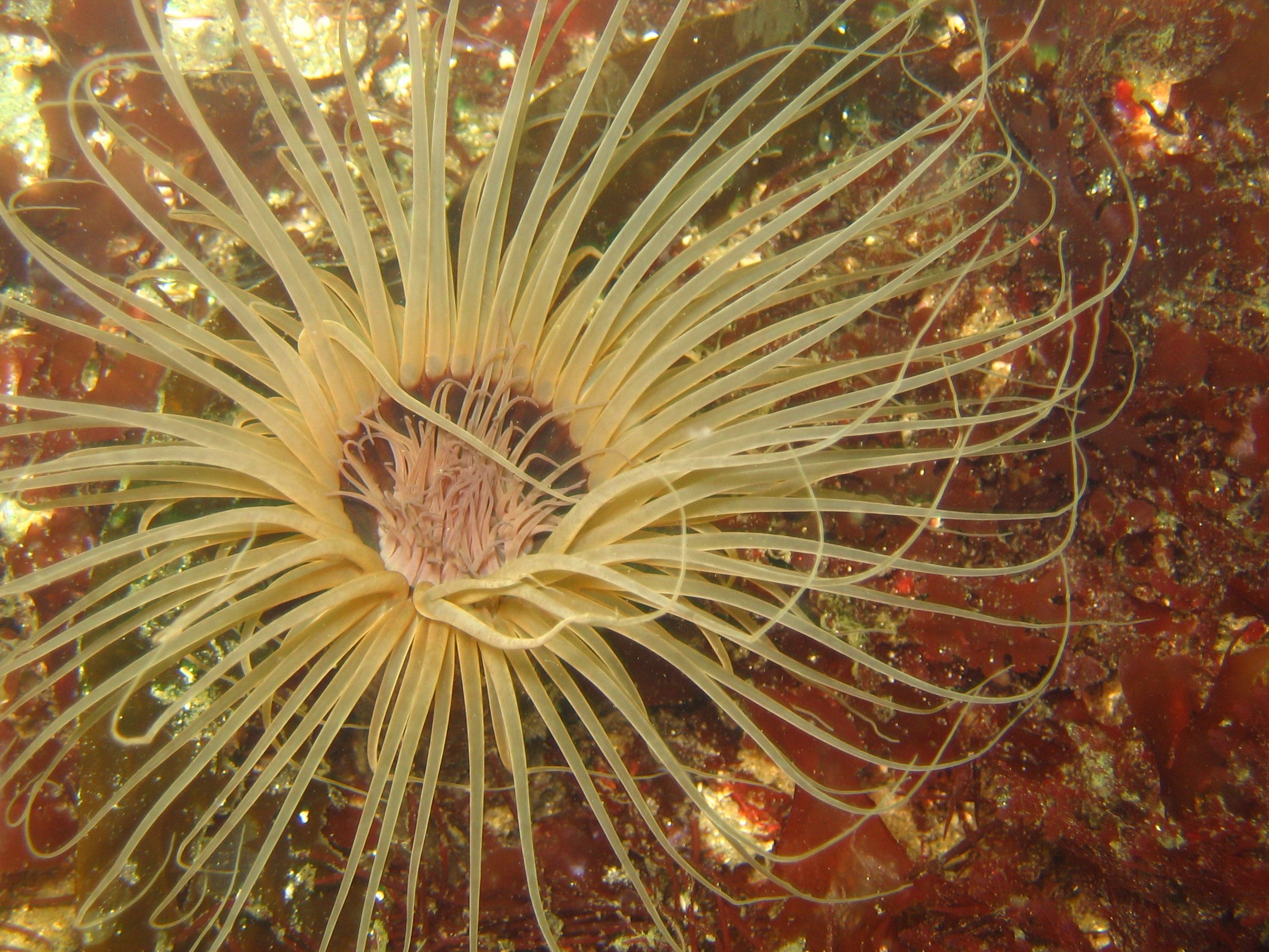 pl23_sanc0875.jpg | National Oceanic and Atmospheric Administration