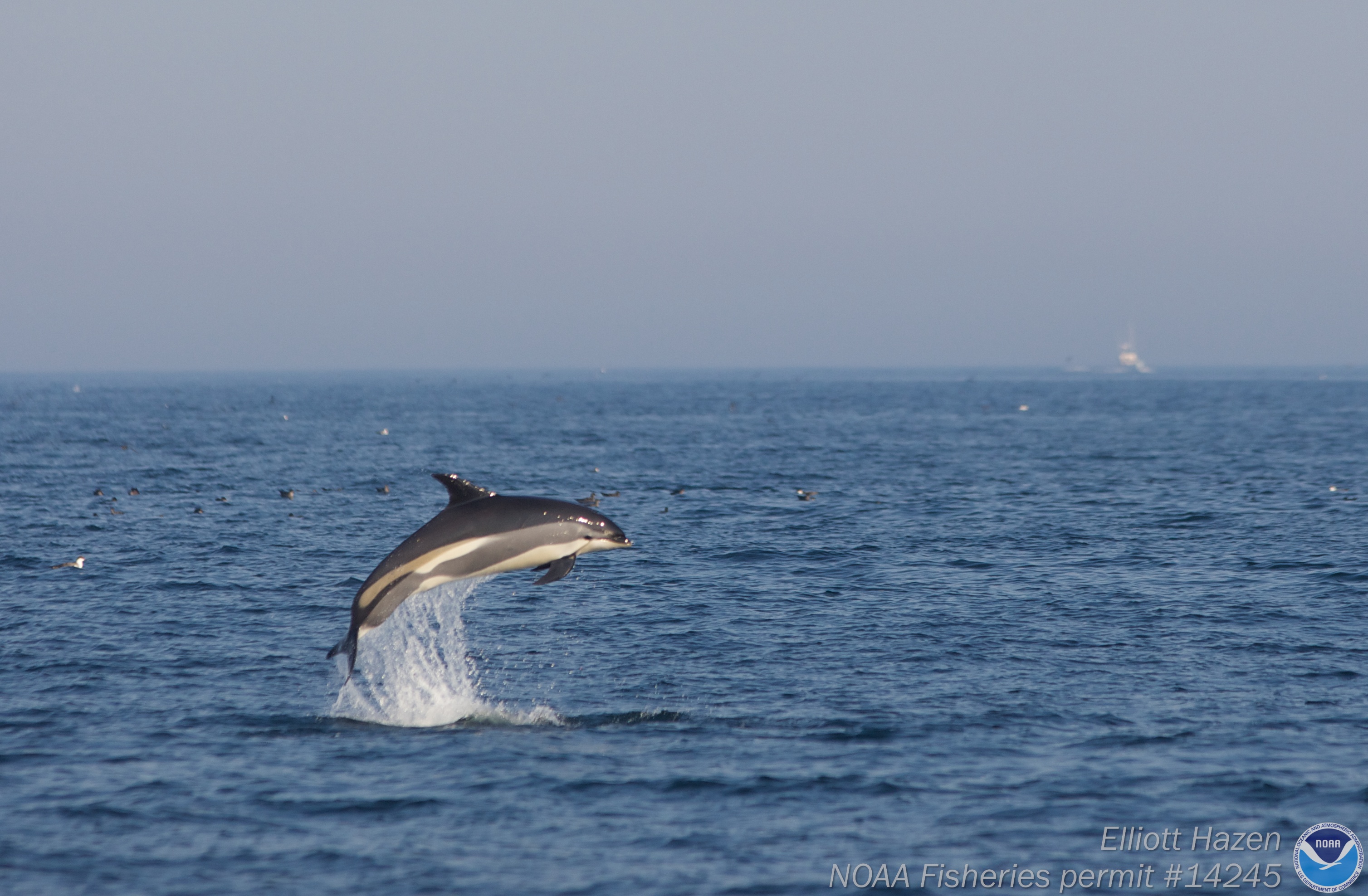 sanc1067.jpg | National Oceanic and Atmospheric Administration