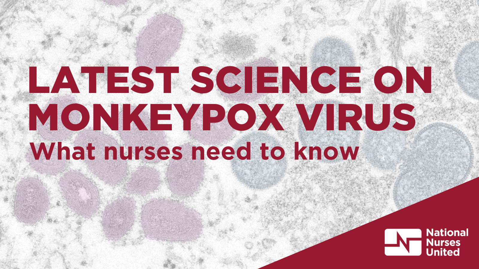 Latest Science on Monkeypox Virus: What Nurses Need to Know | National ...