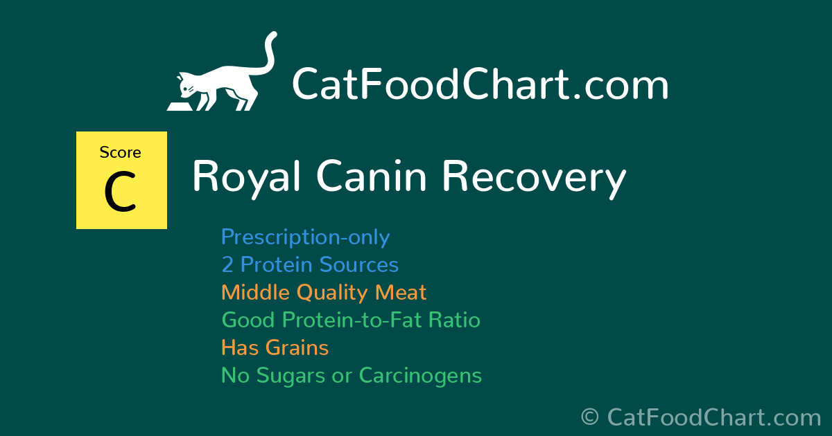 Royal Canin Recovery - Canned Food