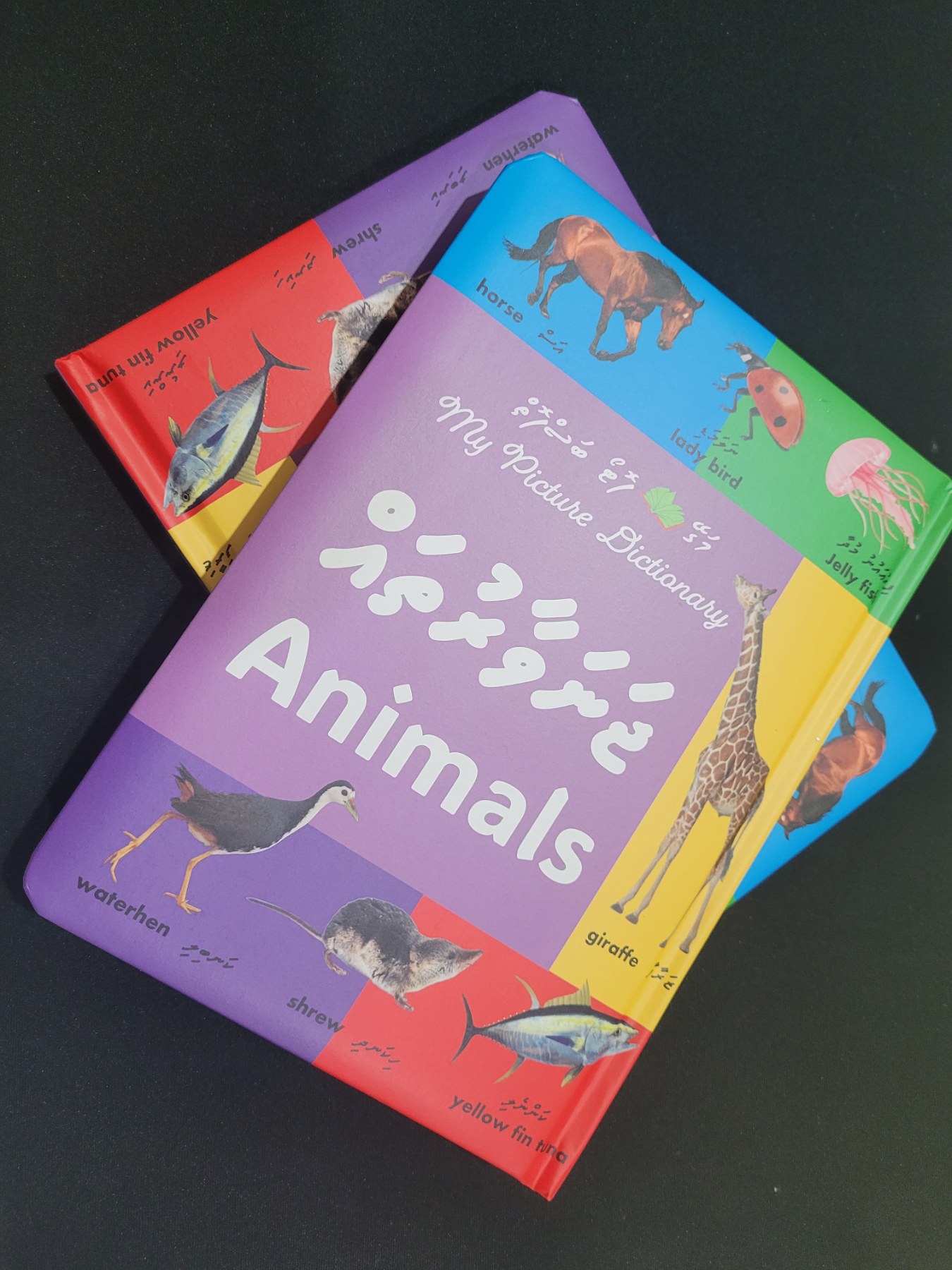eTukuri - Products | My Picture Dictionary: Animals