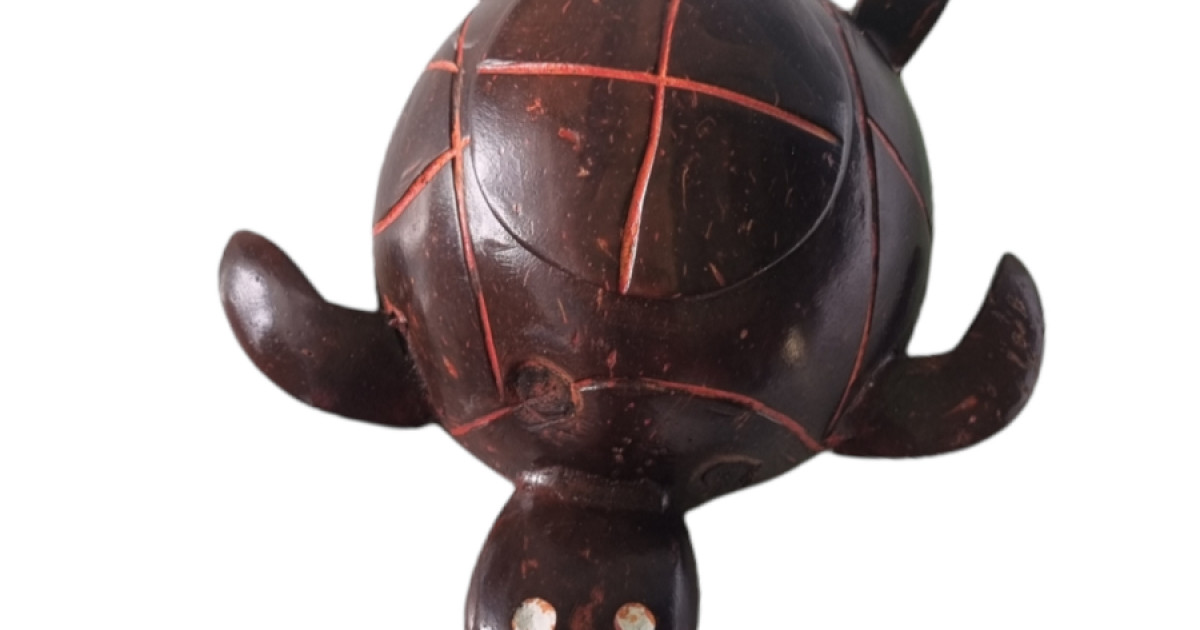 eTukuri - Products | Turtle