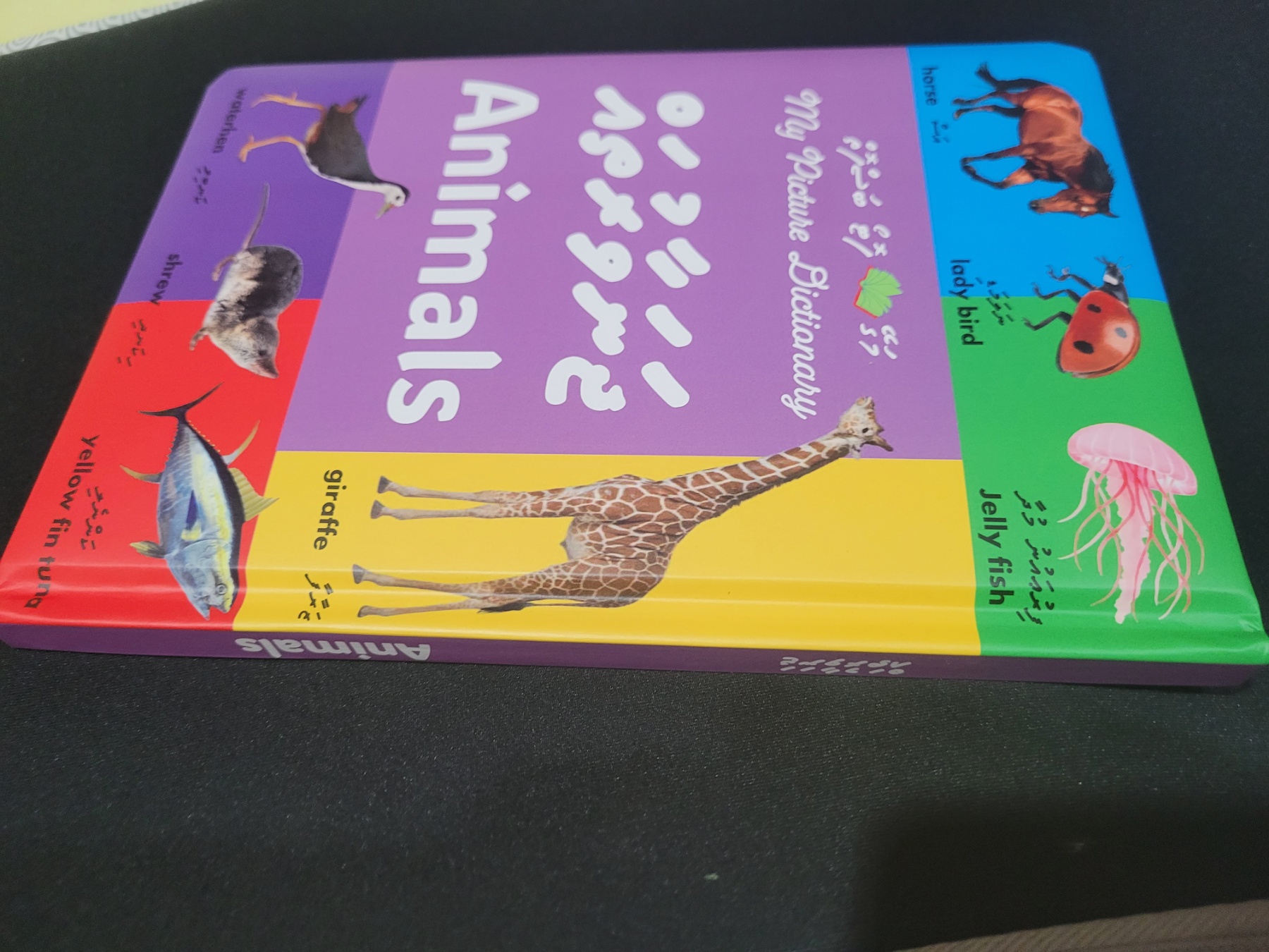 eTukuri - Products | My Picture Dictionary: Animals