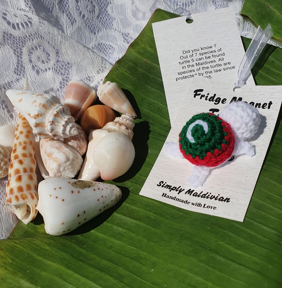 eTukuri - Products | Turtle fridge magent