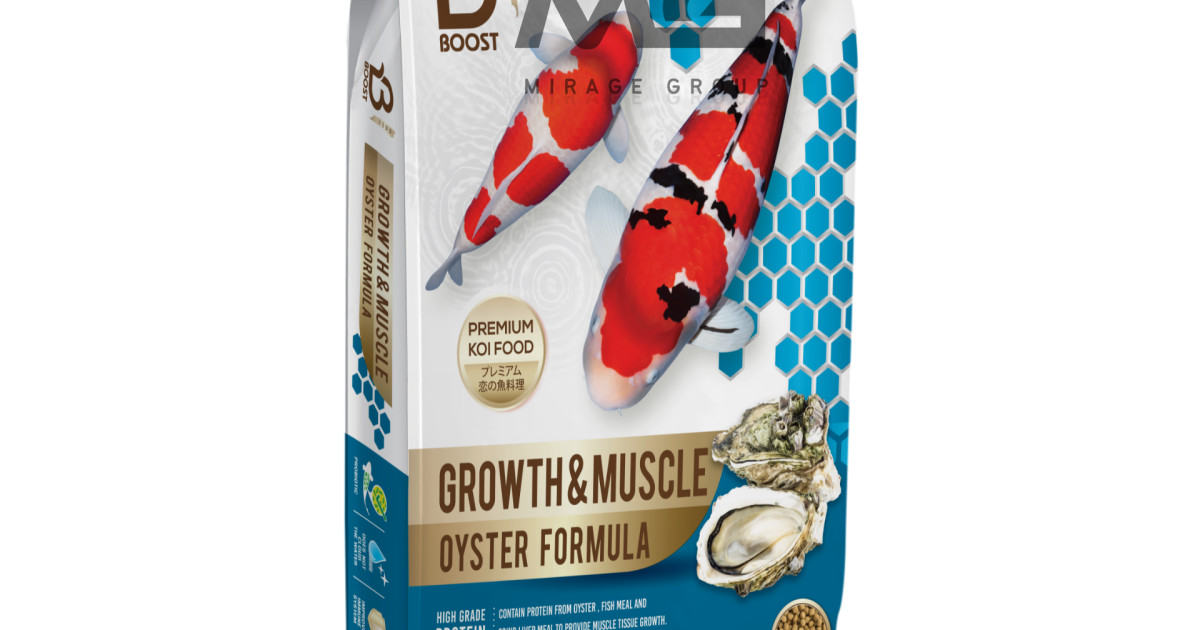 eTukuri - Products | Boost Koi Growth & Muscle Oyster 6.5kg (S)