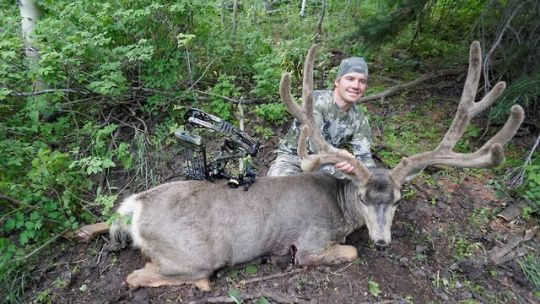 Hoyt Tagged Out - 2019 Early Season Hunts | Hoyt Archery