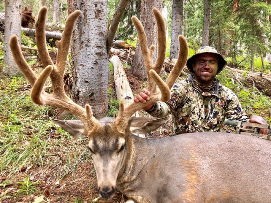 Hoyt Tagged Out - 2019 Early Season Hunts | Hoyt Archery