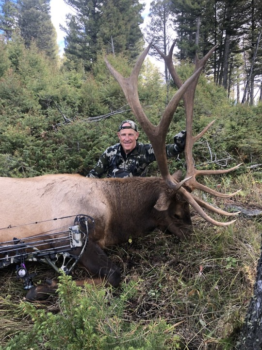 Hoyt Tagged Out - 2019 Early Season Hunts | Hoyt Archery