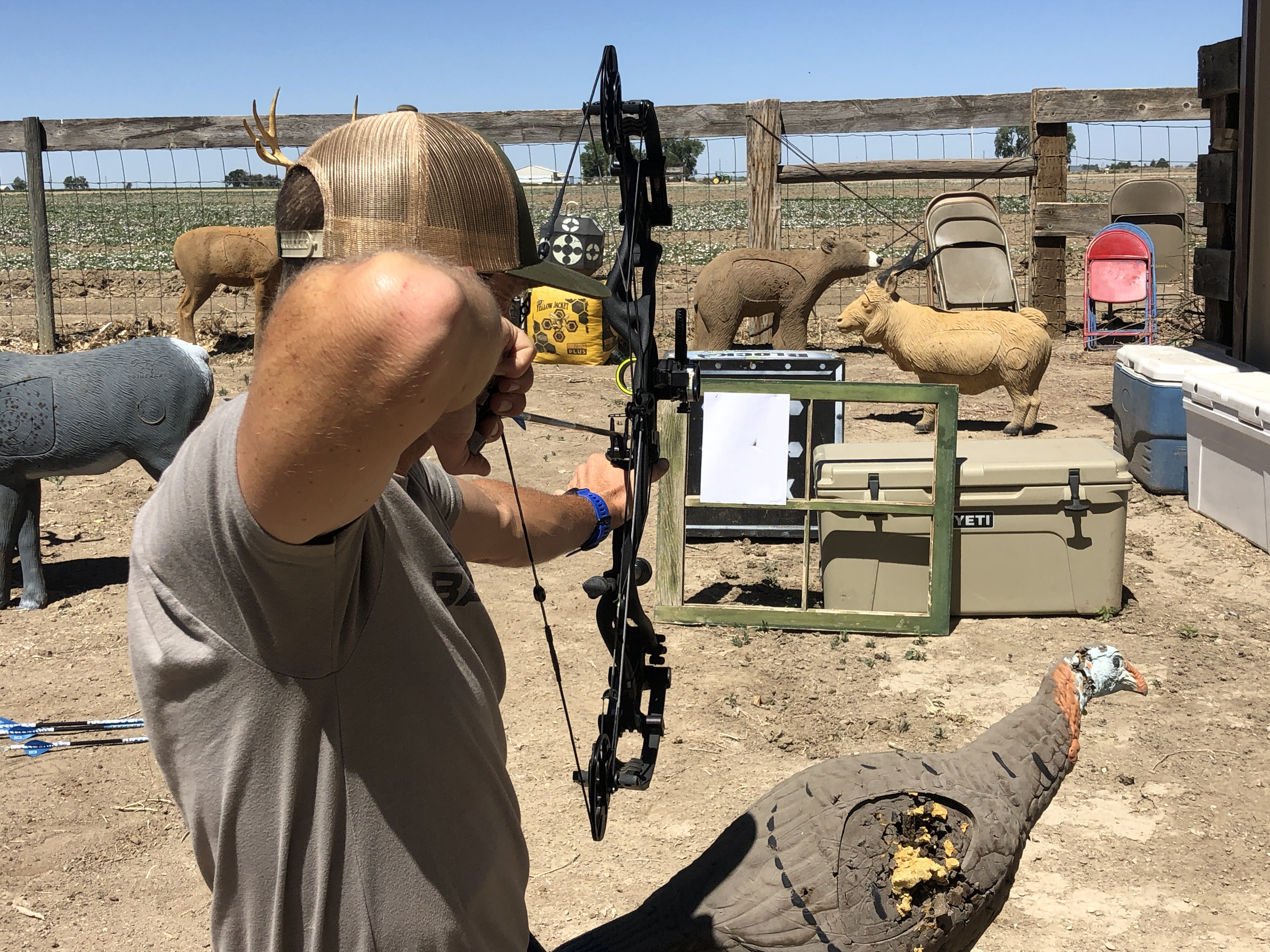 Longest Compound Bow Shot