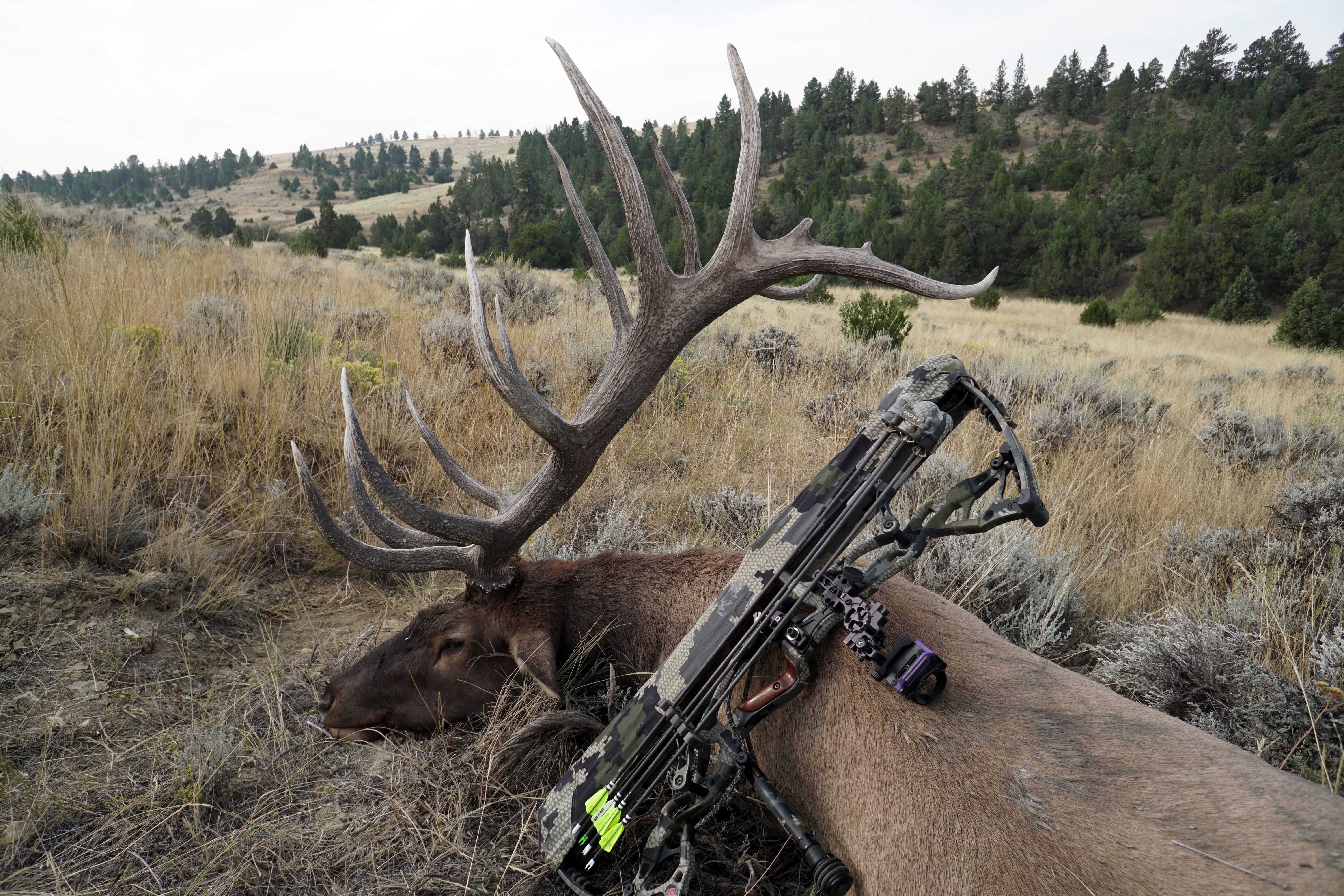 TEN TIPS FOR MOUNTAINPROOFING YOUR HUNTING BOW | Hoyt Archery