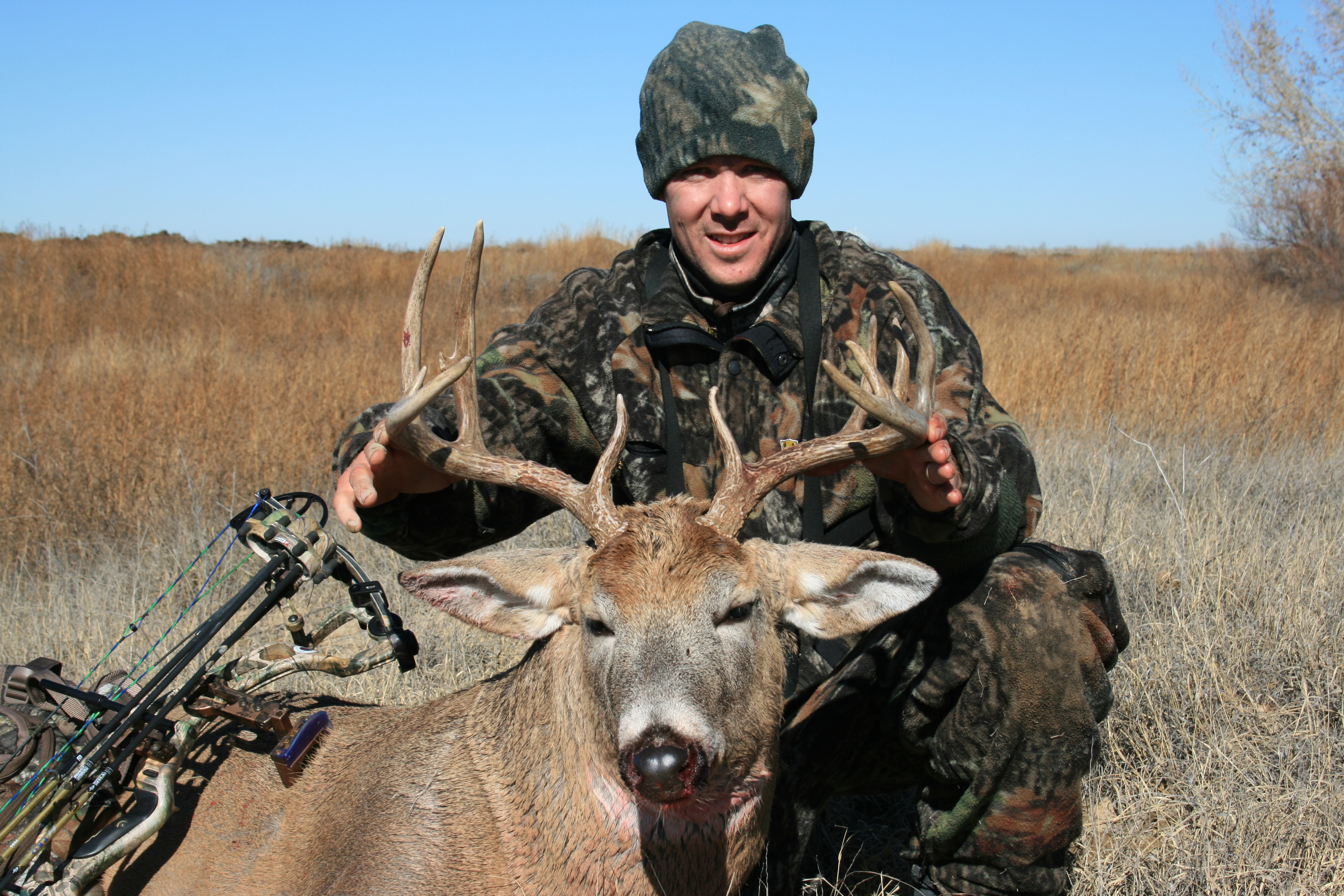Go Public For whitetail Bucks | Hoyt Archery
