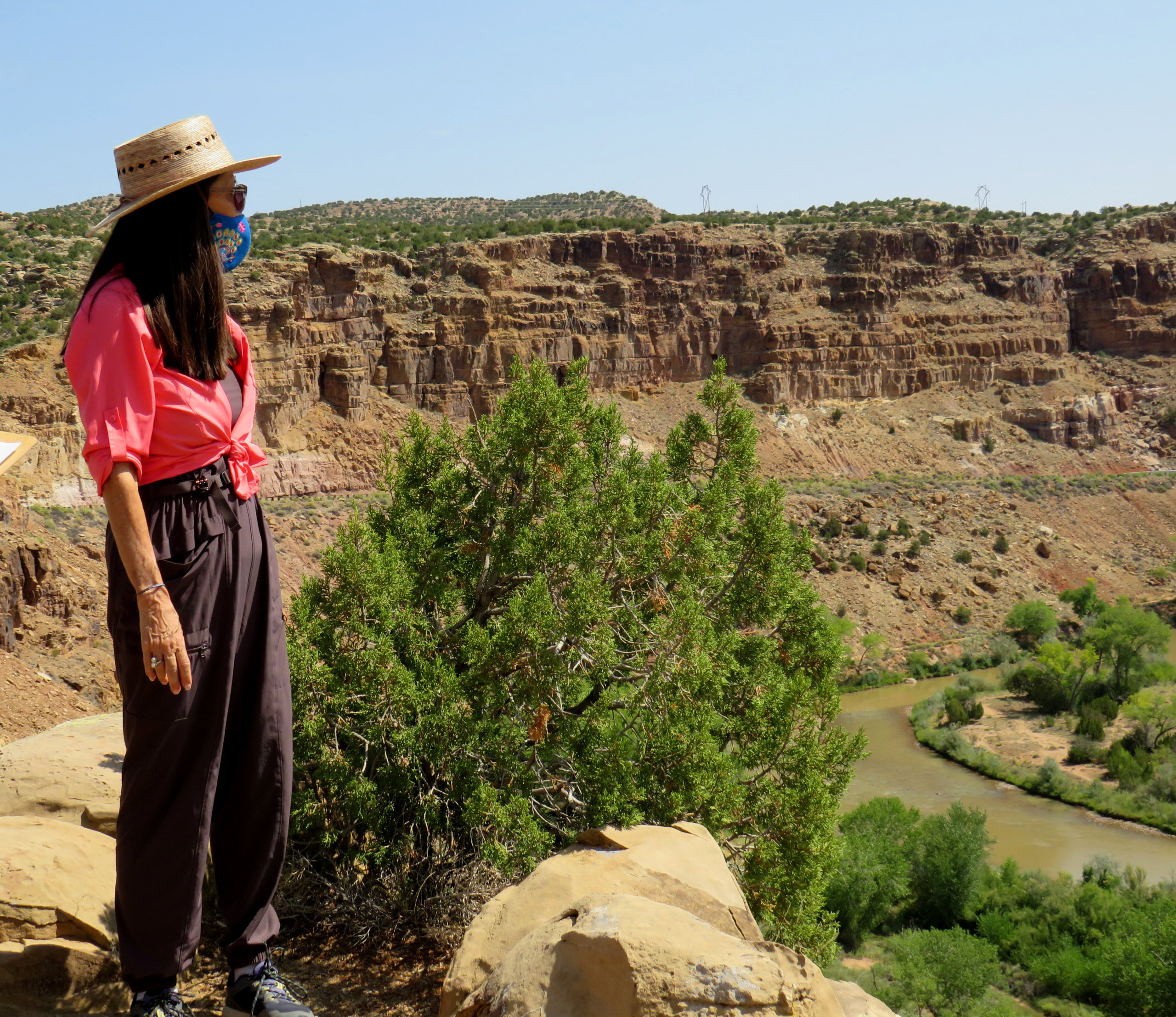 Hannah Grover | NM Political Report