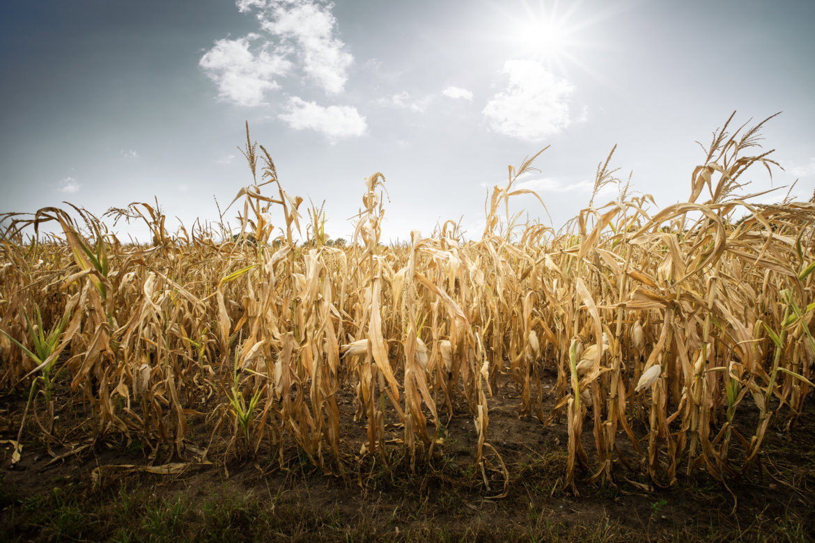 NM Interstate Stream Commission approves cloud seeding application | NM ...