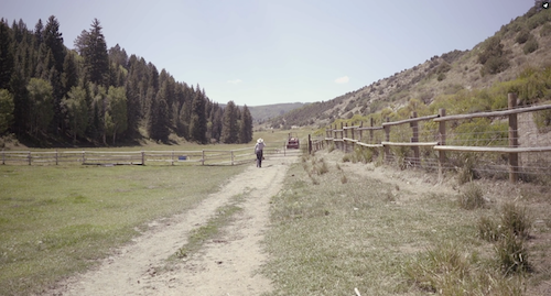 Portfolio - ProgressNow Colorado