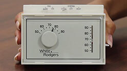 Meet the Taco Family - Made in America