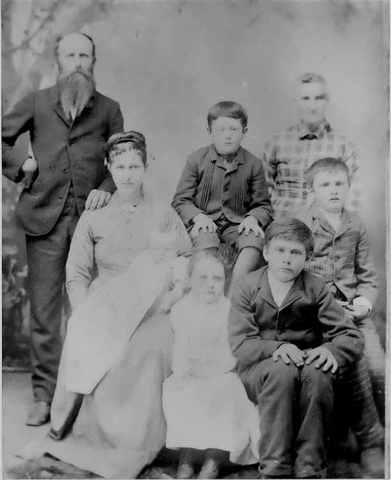 Clara Bartons Family Tree