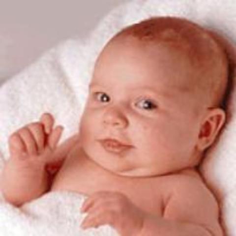 sócrates timeline | Timetoast timelines