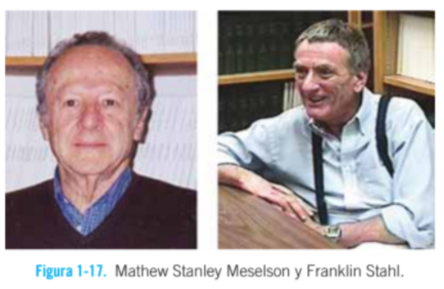 Historia de la biología molecular timeline | Timetoast timelines