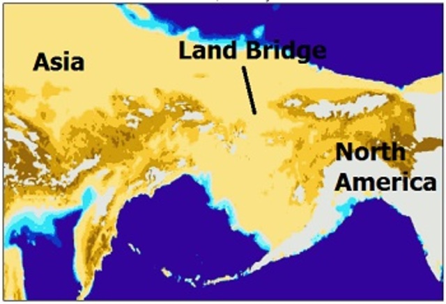 Population and Settlement timeline | Timetoast timelines