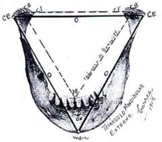 Oclusión, Armando Cortazar Lopez, Carlos David Jimenez Salazar