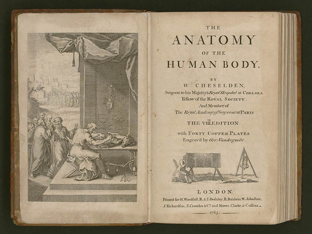 History of Medicine timeline | Timetoast timelines