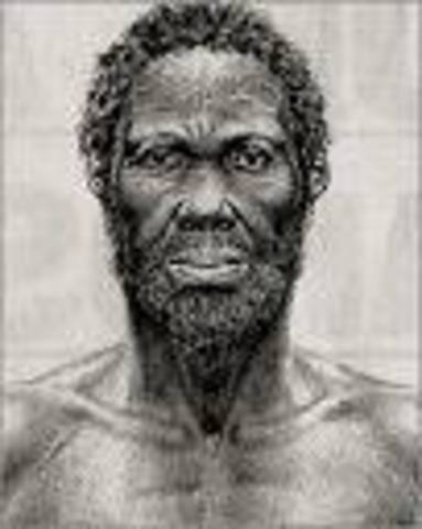 La prehistoria timeline | Timetoast timelines