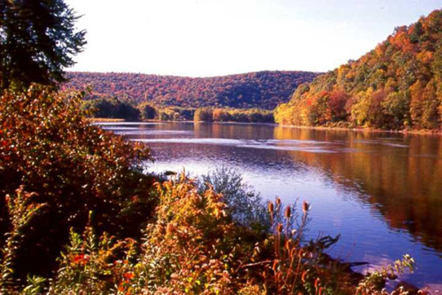 Alejandra French and Indian war timeline | Timetoast timelines