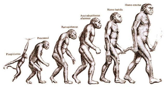 History Of The Earth Timeline Timetoast Timelines
