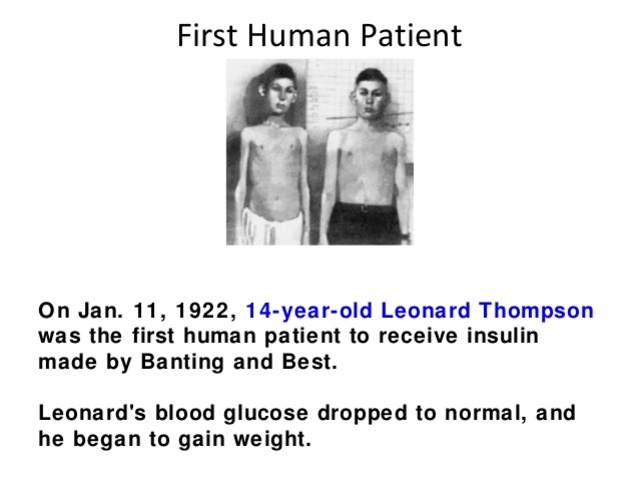 Evolution of Insulin timeline | Timetoast timelines