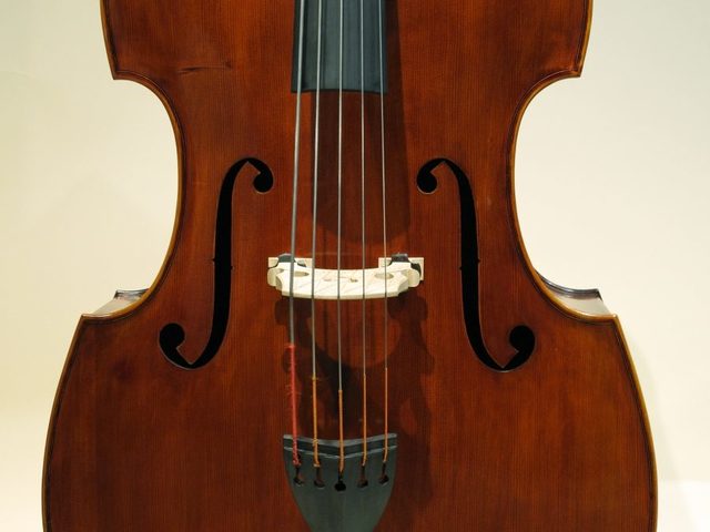 Double Bass History timeline | Timetoast timelines