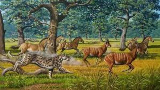 Eras geológicas y periodos timeline | Timetoast timelines