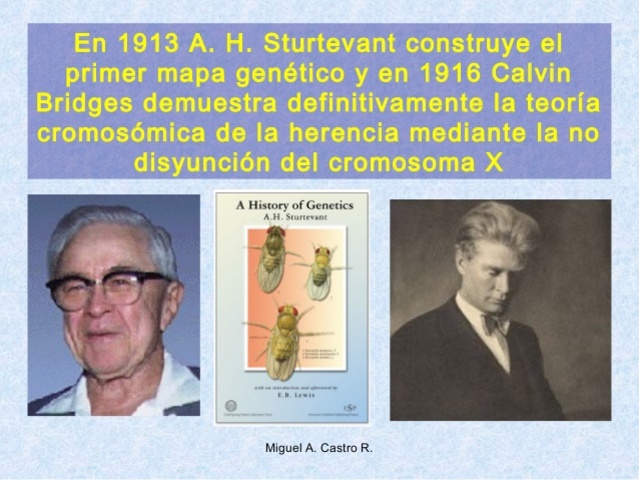 Historia de la Biologia Molecular timeline | Timetoast timelines