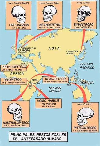 EL SER HUMANO SE APROPIA, PAULATINAMENTE, DEL ESPACIO GEOGRAFICO.