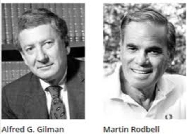 Linea de tiempo farmacologia timeline | Timetoast timelines