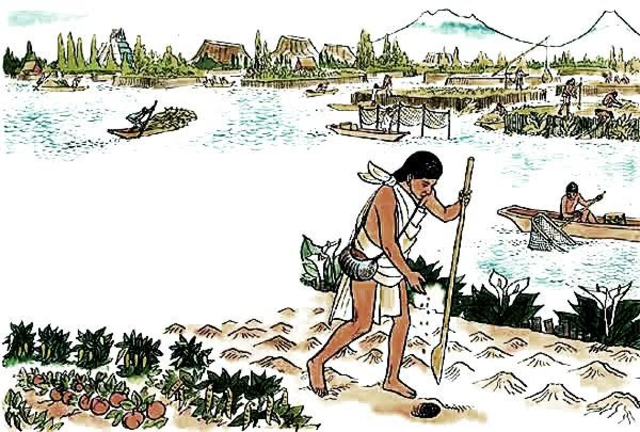 Actividad 2 linea de tiempo, Equipo 1 Derecho Agrario timeline | Timet