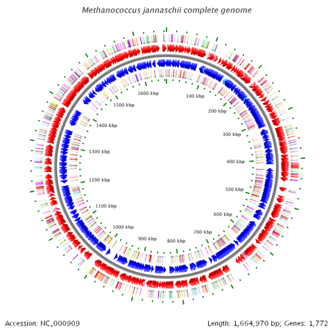 HISTORIA DE LA MICROBIOLOGÍA por: Esther Millán. timeline | Timetoast