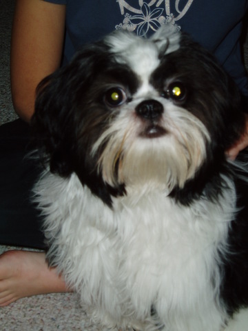 La Vida de Sarah Huxtable (8) timeline | Timetoast timelines