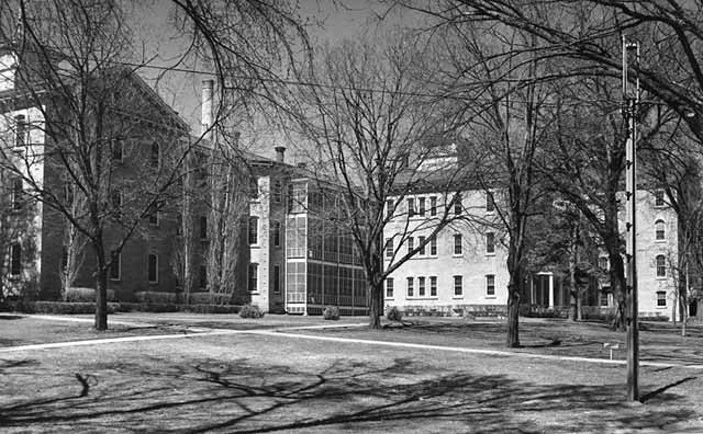 History of Mental Health timeline | Timetoast timelines