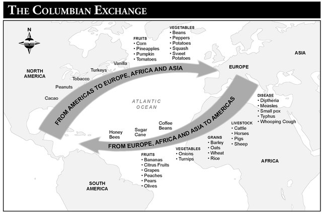 History Timeline | Timetoast timelines