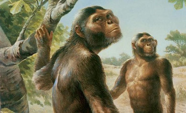 Evolución del hombre | Timetoast timelines