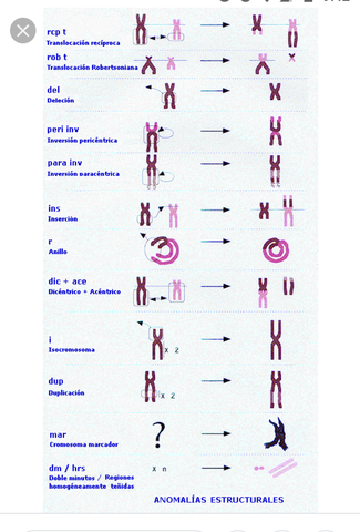 EVOLUCIÓN DE LOS SÍNDROMES POR ALTERACIONES CROMOSÓMICA timeline | Tim